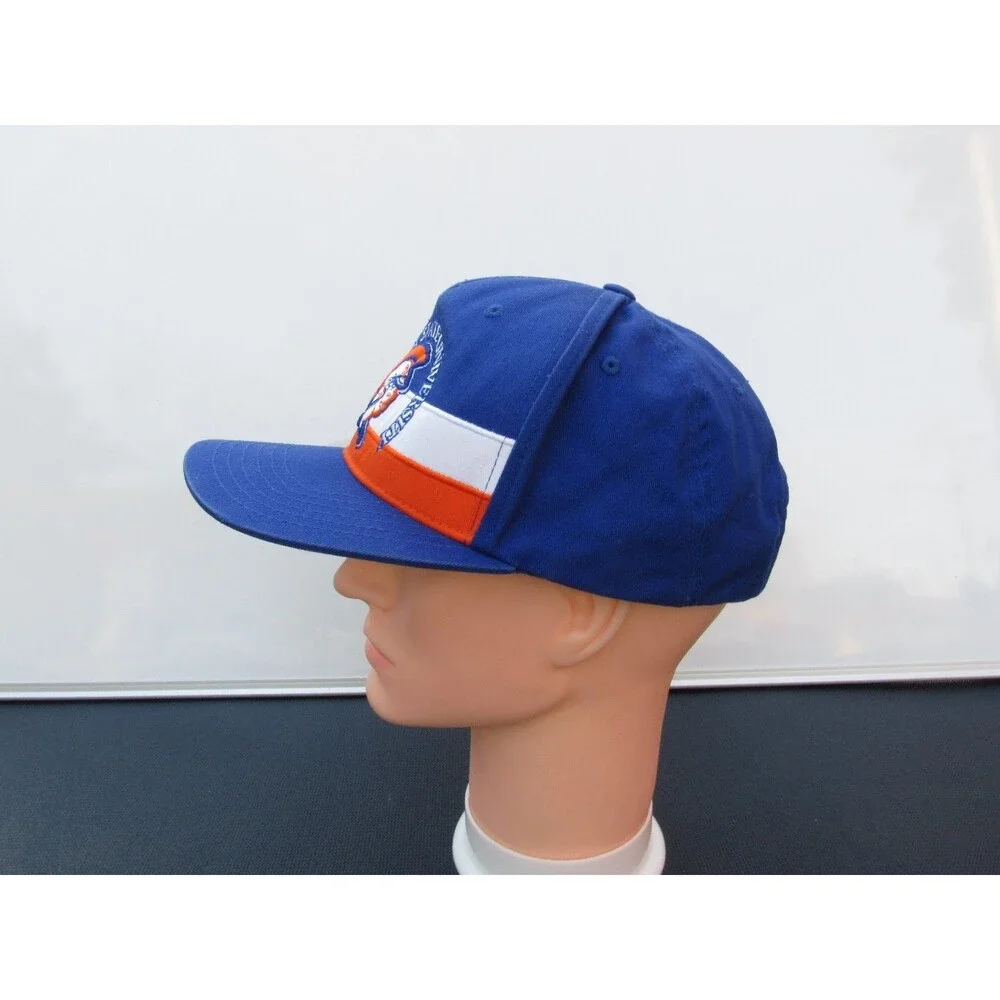Captivating | Accessories | Virginia State University Vsu Trojans Hat ...